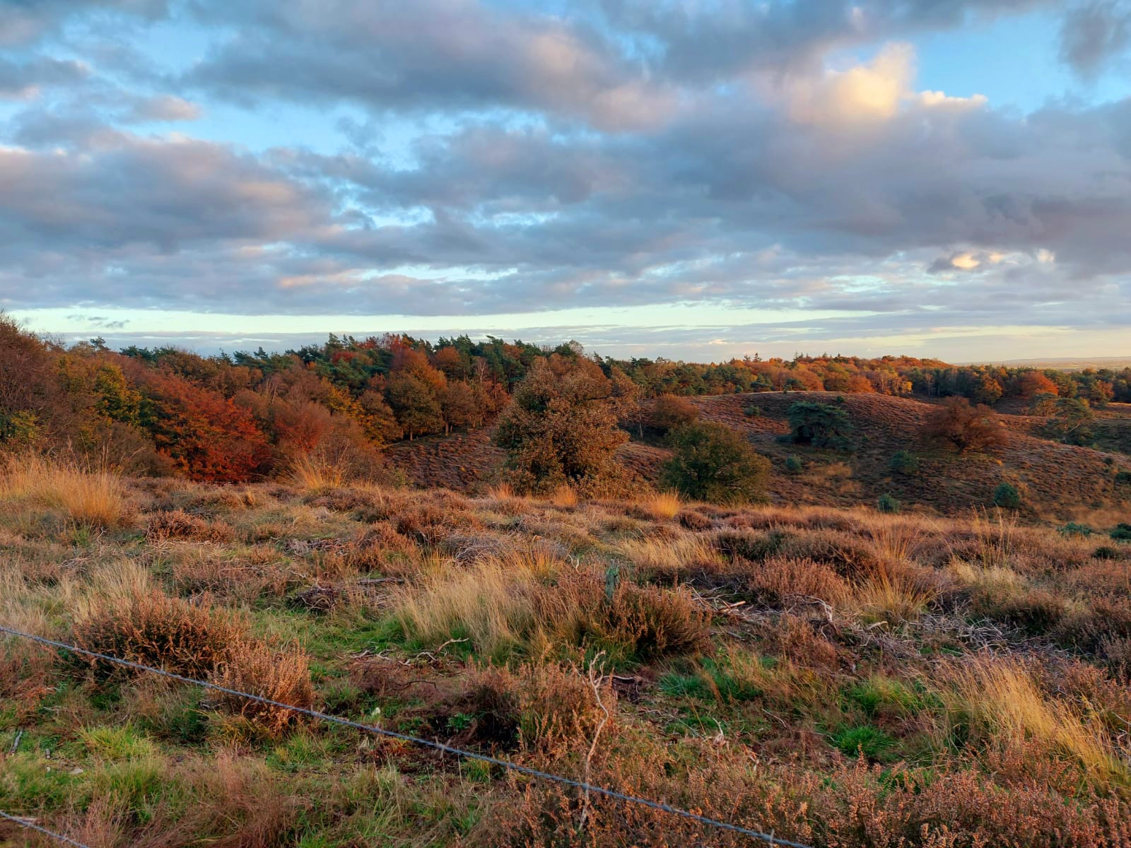 Posbank in November – Parks and Landscapes